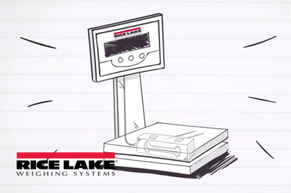 What is the Difference Between a Balance and a Scale?