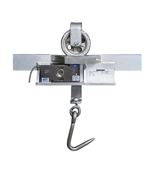 MS202 Permanent Monorail Scale