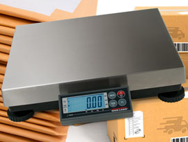 FedEx Technology Incentive Program | Rice Lake Weighing Systems